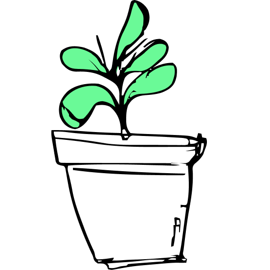 Black Crow AI | The Customer Intelligence tool for Shopify